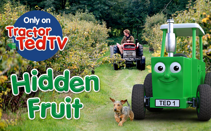 ABOUT TED – Tractor Ted