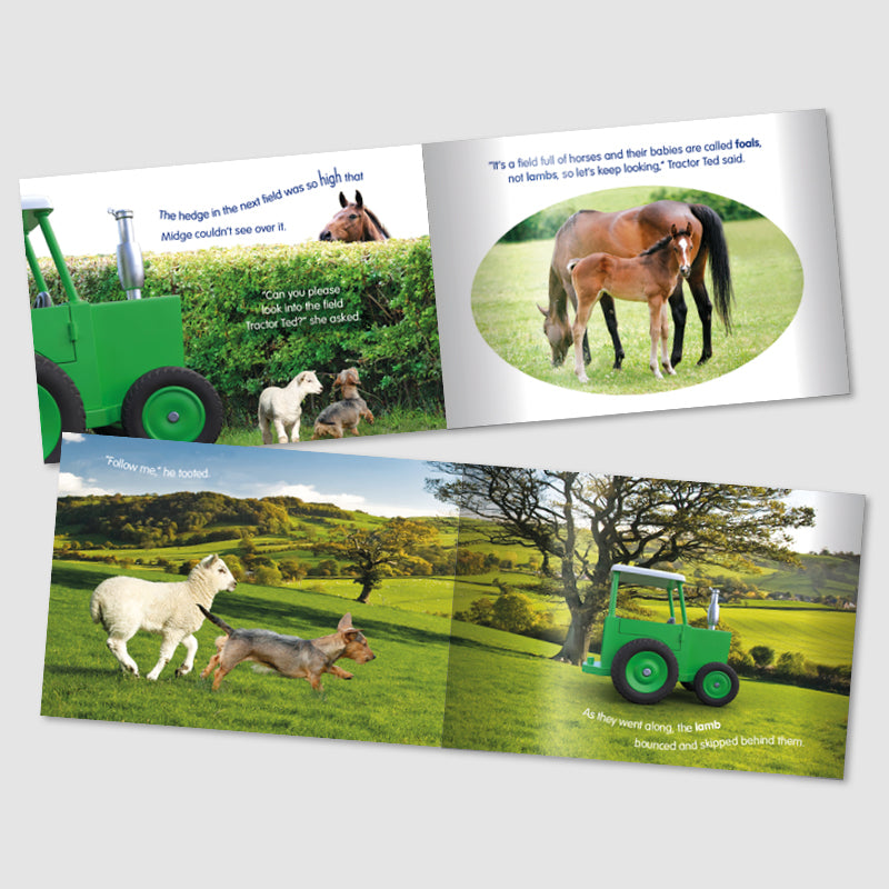 Little Lost Lamb Storybook – Tractor Ted